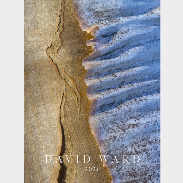 Home – David Ward | David Ward